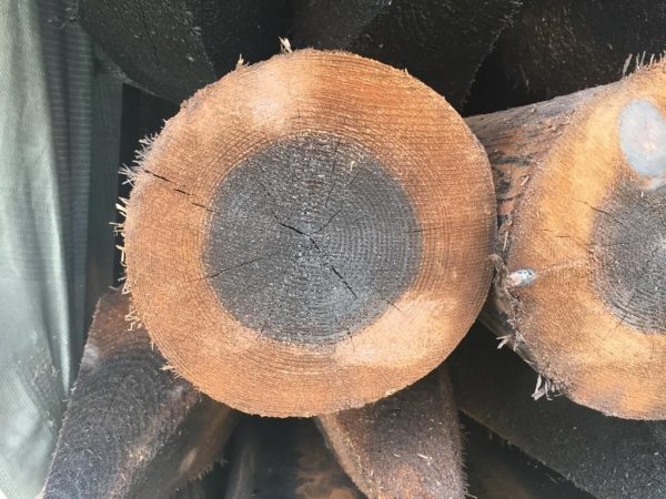 Creosote Cundy Poles - KDM Timber & Forest Products